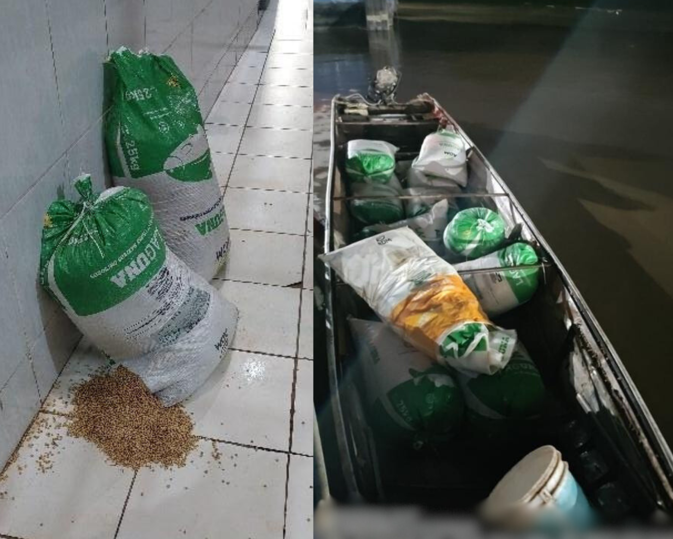 Polícia Militar de Rondônia atua de forma rápida e frustra furto de ...